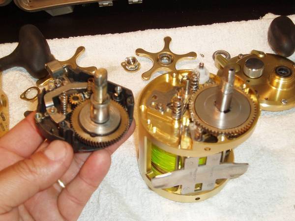 calcutta 700 info needed | Bloodydecks